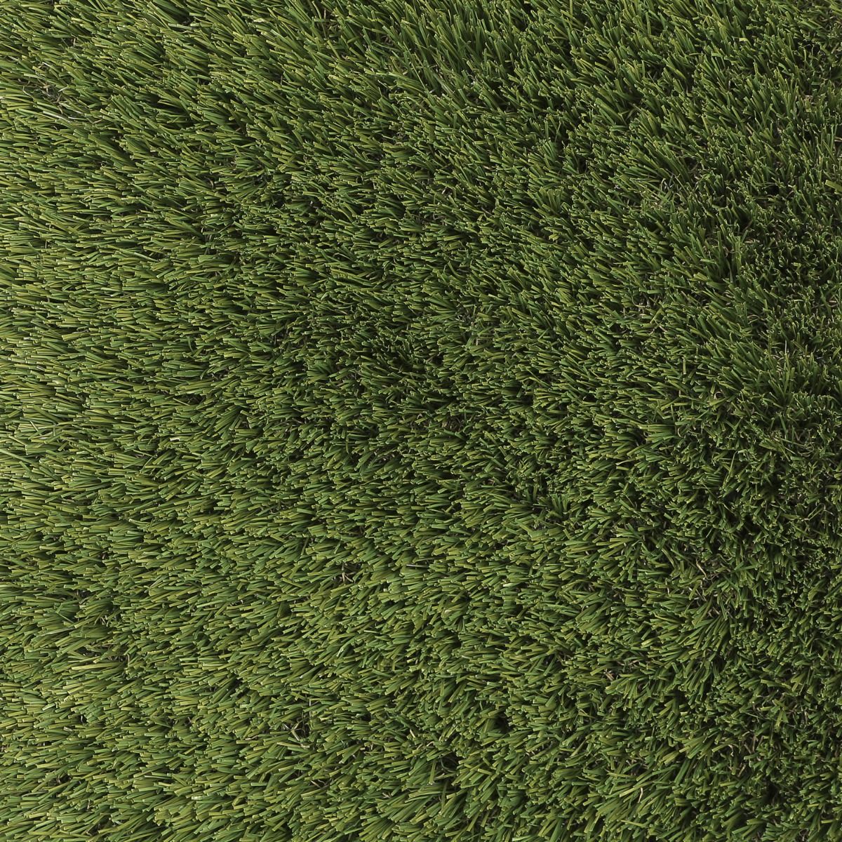 Barley | Artificial Grass | Golden Select